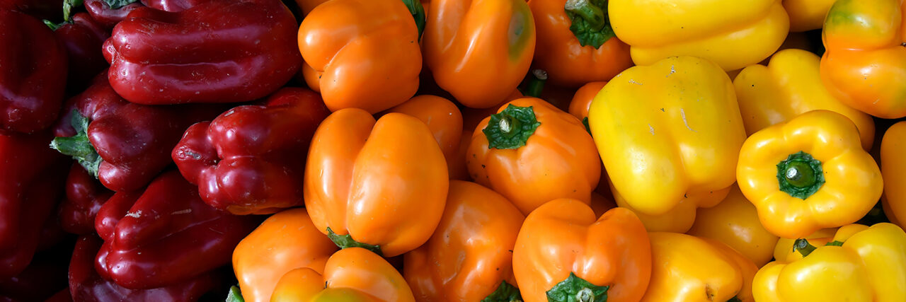Top 10 Ways to Enjoy Bell Peppers - Have A Plant