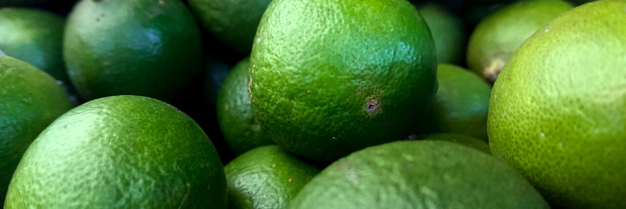 Key Limes - Have A Plant