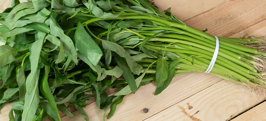 Ong Choy Spinach - Have A Plant