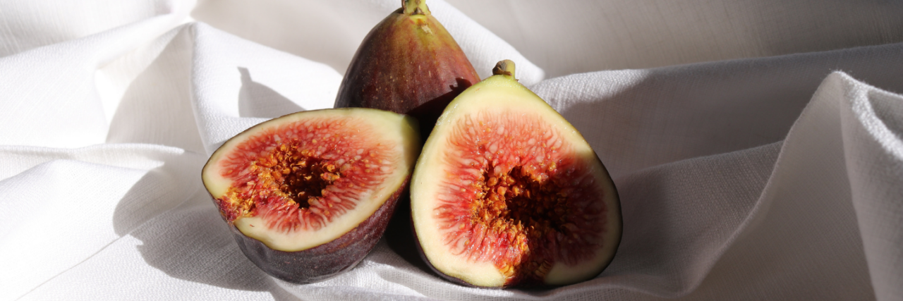 Getting Creative with Figs - Have A Plant