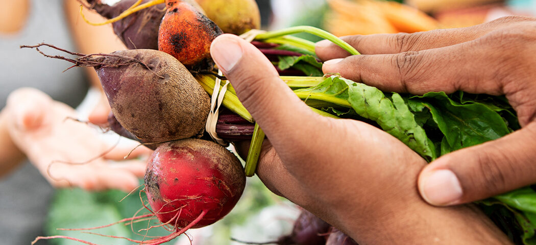 Celebrating The Roots Of Our Food - Have A Plant