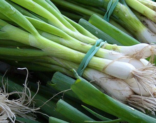 What's In Season In Spring? - Have A Plant