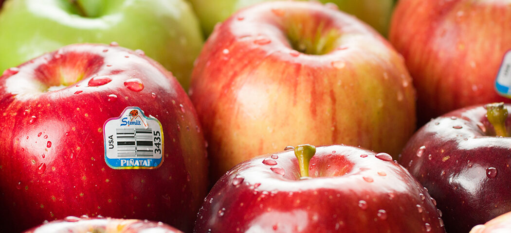 What Are The Crunchiest Apples? - Have A Plant