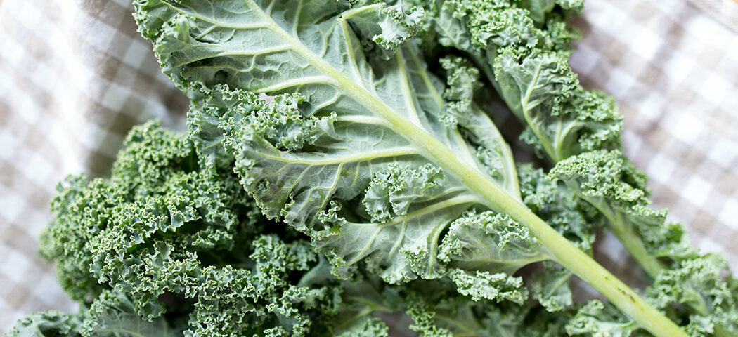 What are the harmful vs beneficial effects of dietary nitrates in foods ...